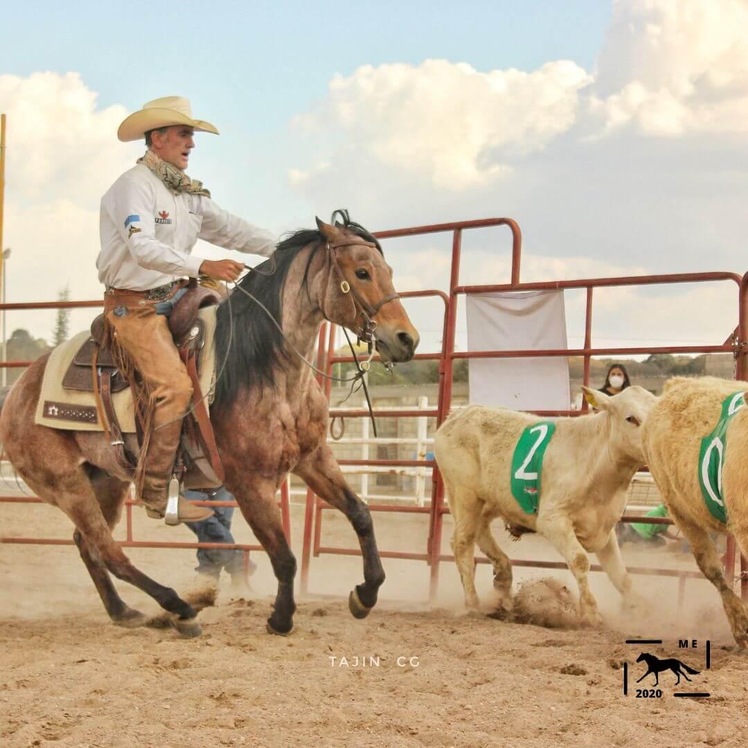 Inicio Master Ecuestre